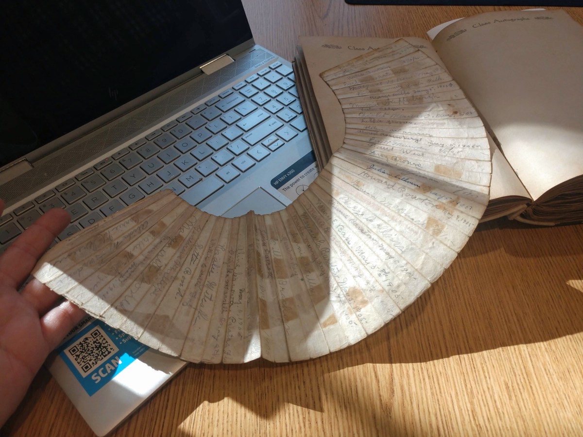 Theory and Praxis – Mischa Johns, MLIS Archives Student, USF